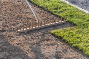 Best Time and Conditions for Leveling Your Lawn - Accurate Lawn Leveling