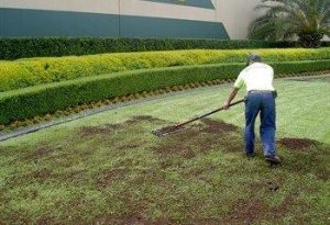 Factors to Consider When Leveling Your Yard With Topsoil