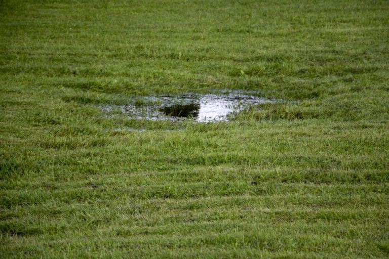 Why Does My Yard Need Regrading?