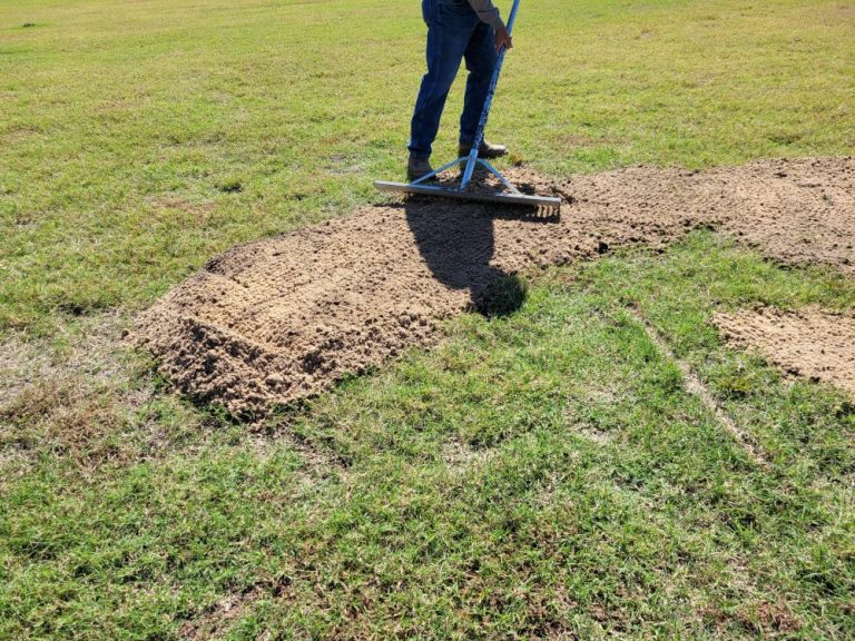 Why Should You Level Your Lawn? - Accurate Lawn Leveling