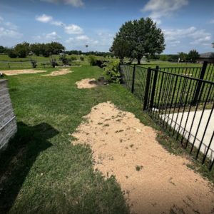 Repairing Uneven Lawns Caused by Animals