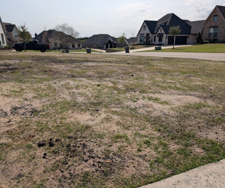 Transform Your Problem Lawn: Uneven Ground to Perfect Grass